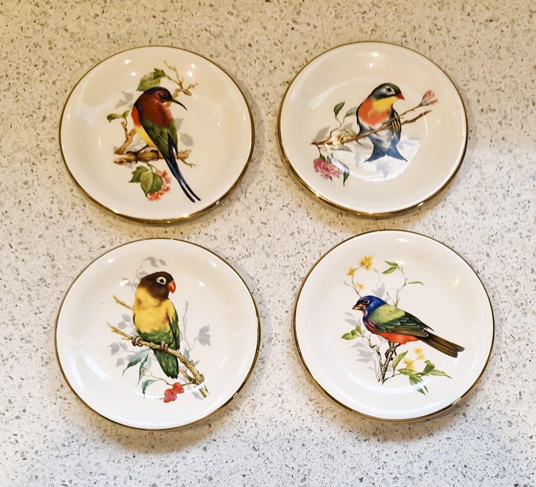 Vintage Parrot Plate, Vintage Bird Plates, Porcelain, Furstenberg ...