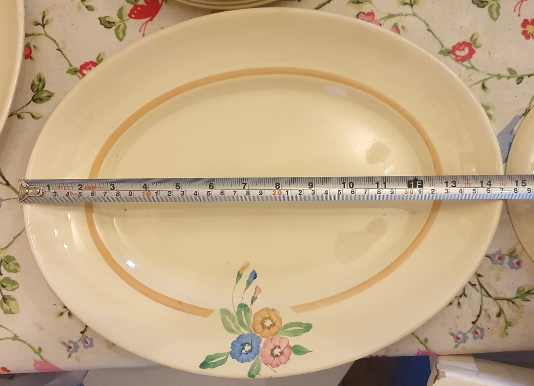 Clarice Cliff Plate: Hand-painted Nosegay Oval Platter, 14 Inch - Etsy