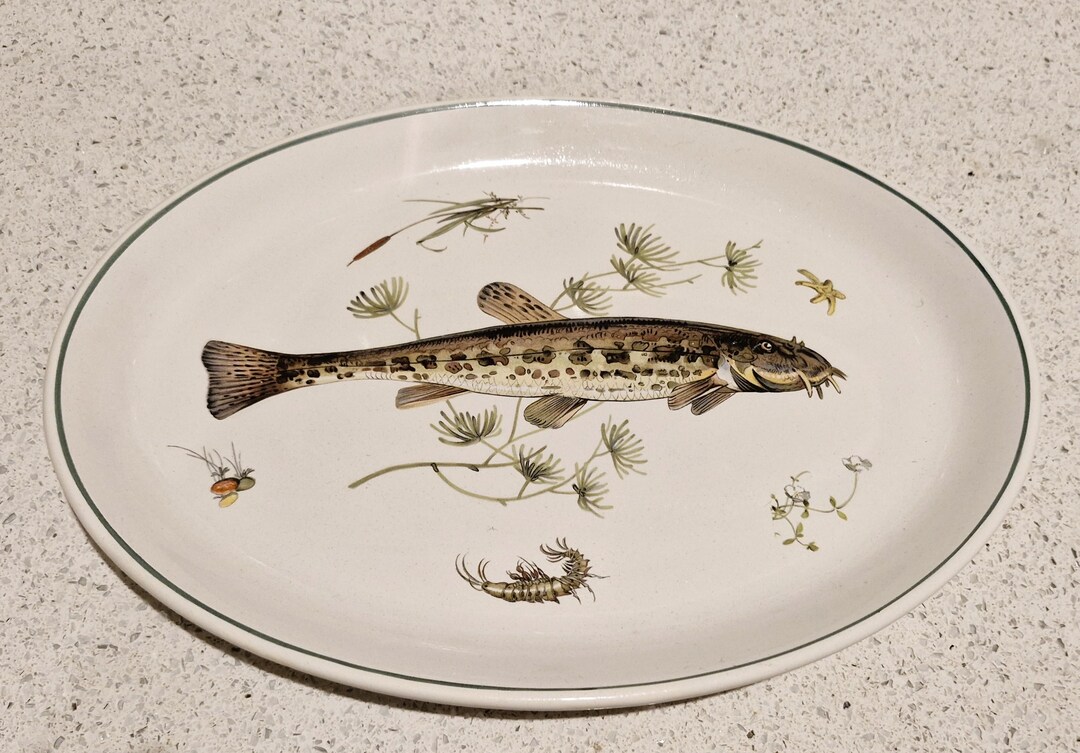 Vintage Simpsons English Ironstone Fish Serving Platter: Spined Loach ...