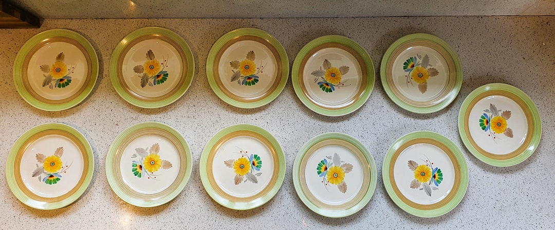 Tams Ware Plate: Hand Painted English Earthenware, Floral Design (8 ...
