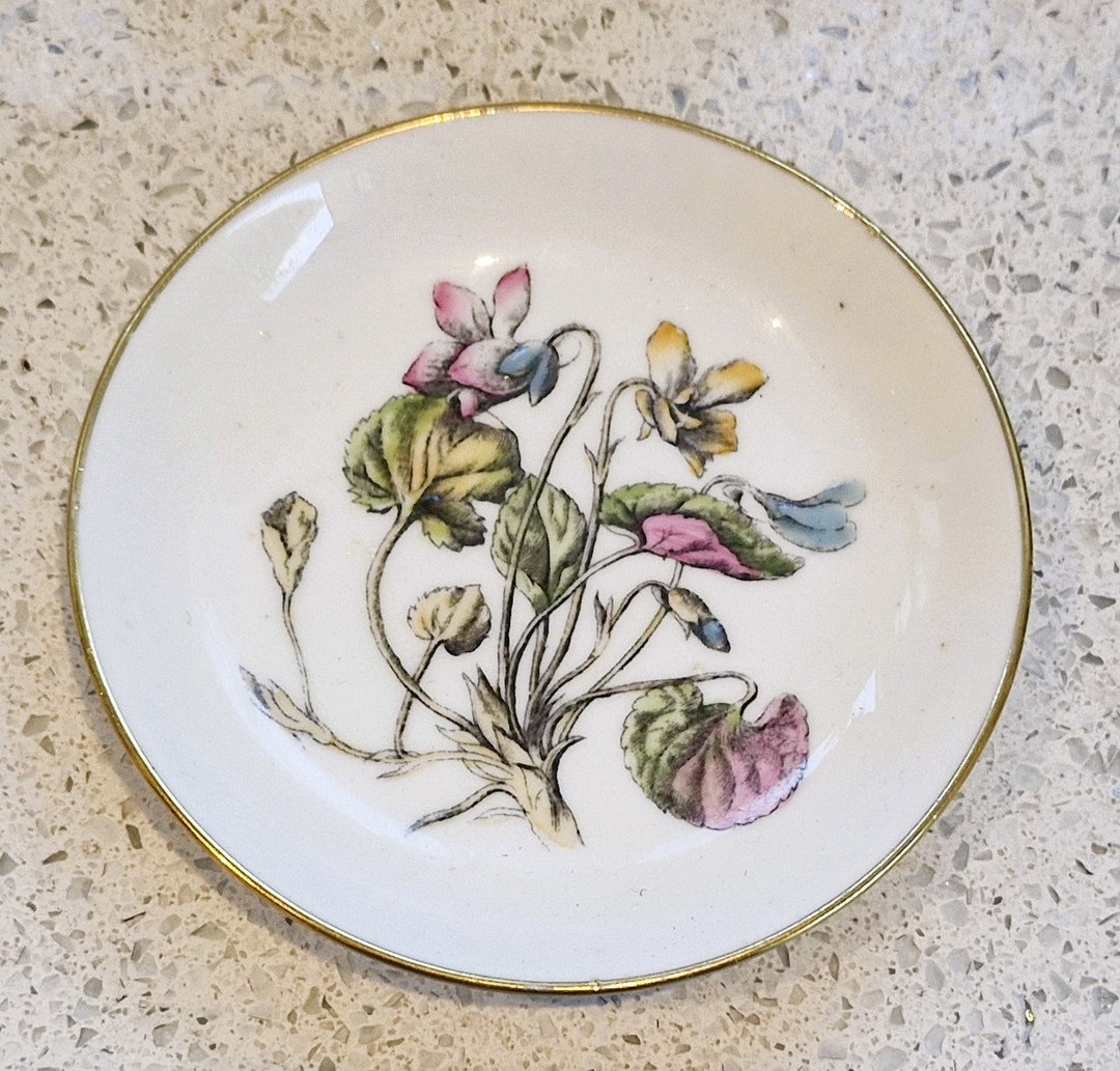 MINTON Plate, Minton Dish, Flower, Botanical, Bone China, Gilt Edged ...
