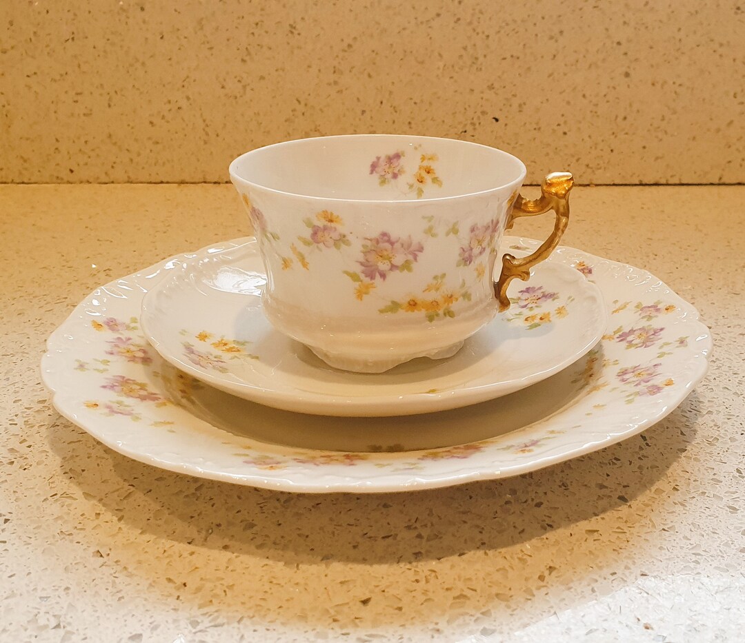 Antique Altwasser Bavaria Tea Cup Trio: German Chintz, Gilt Edged - Etsy
