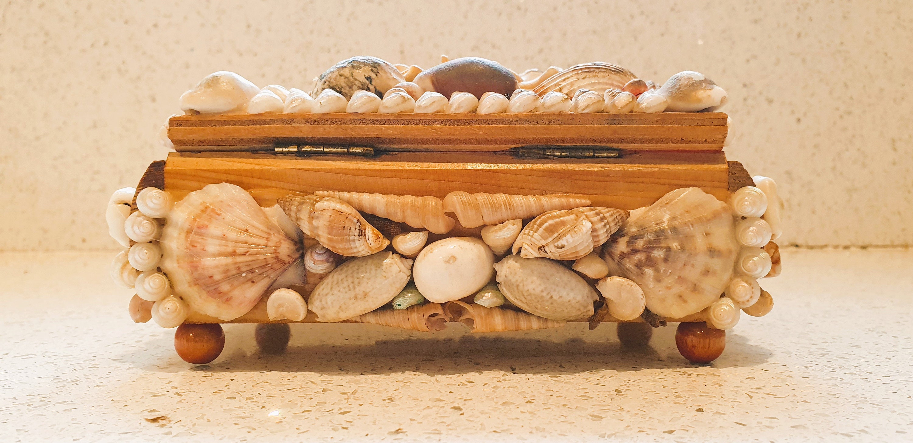 Vintage Sea Shell Box, Box Made of Sea Shells, Sea Shell Art, Real ...
