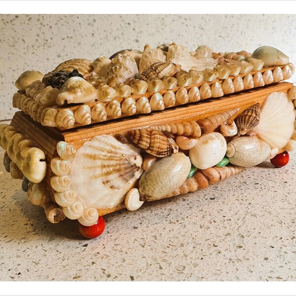 Shell Box - Etsy