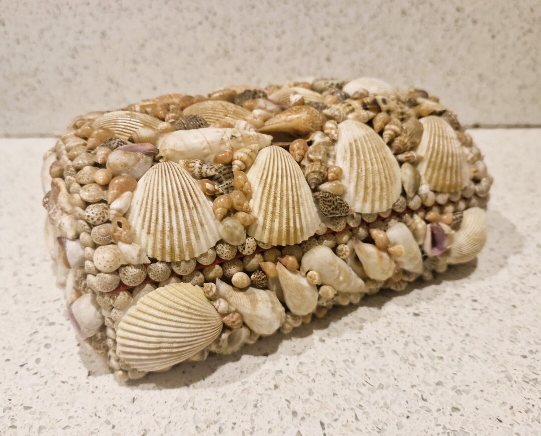 Vintage Shell Covered Jewelry Box: Large 90s Sea Shell Trinket - Etsy