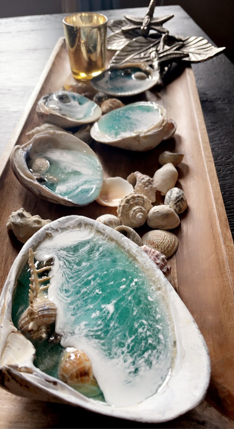 Mini Beaches Shells Work Great for Decorations of Living Rooms/coffee ...