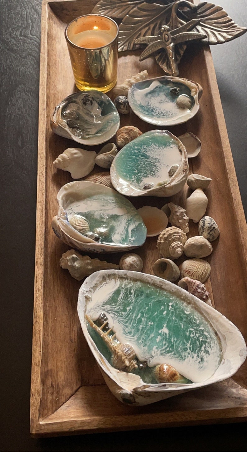 Mini Beaches Shells Work Great for Decorations of Living Rooms/coffee ...