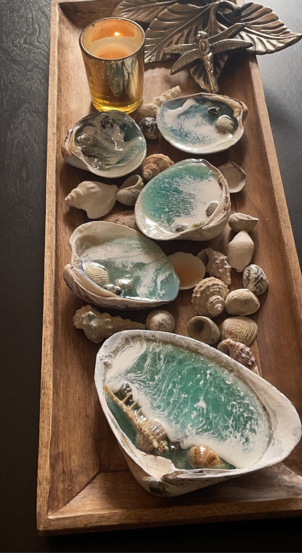 Mini Beaches Shells Work Great for Decorations of Living Rooms/coffee ...