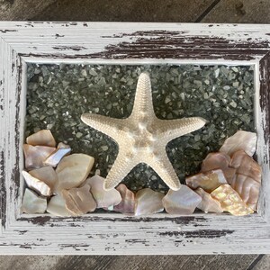 STARFISH and Seashells FRAMED ART Trio - Etsy