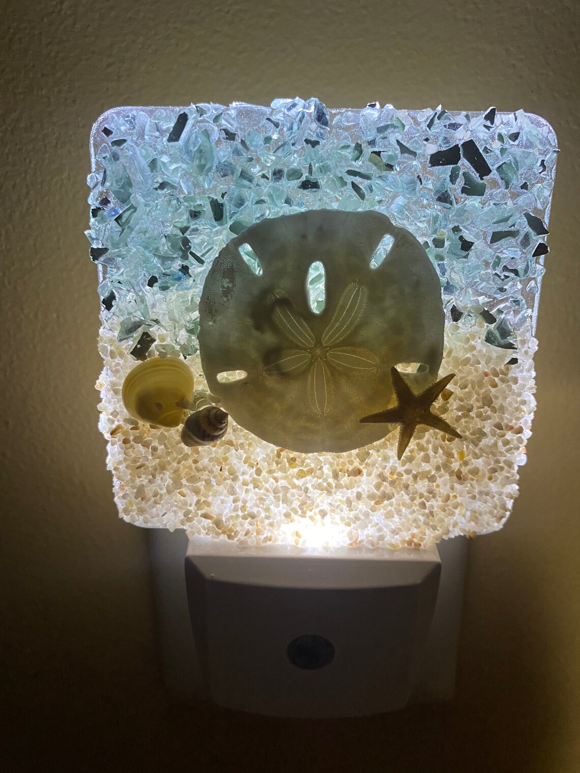 COASTAL Night Light SAND DOLLAR With Seashells - Etsy