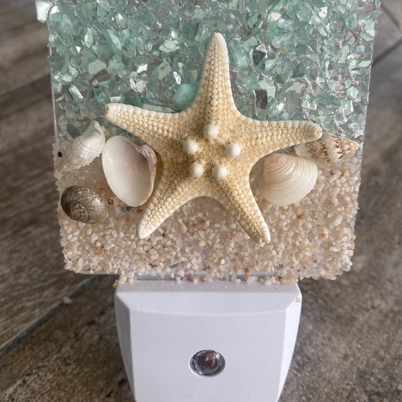 Seashell Night Light - Etsy