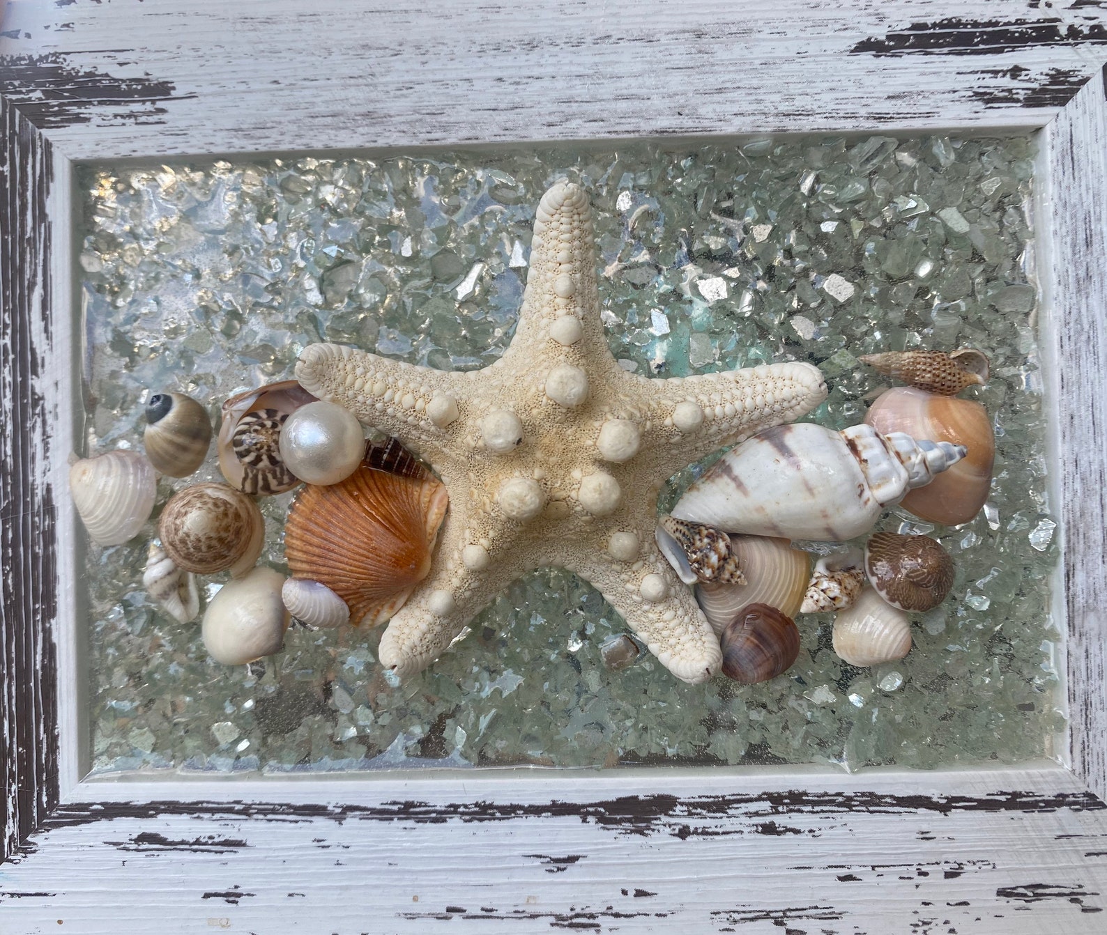 STARFISH and Seashells FRAMED ART Trio - Etsy