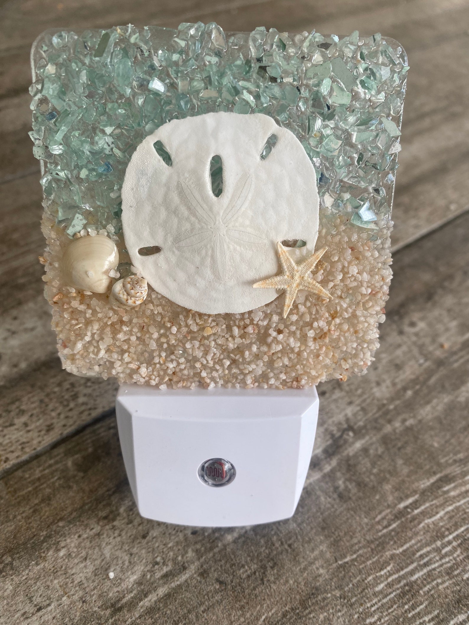 COASTAL Night Light SAND DOLLAR With Seashells - Etsy