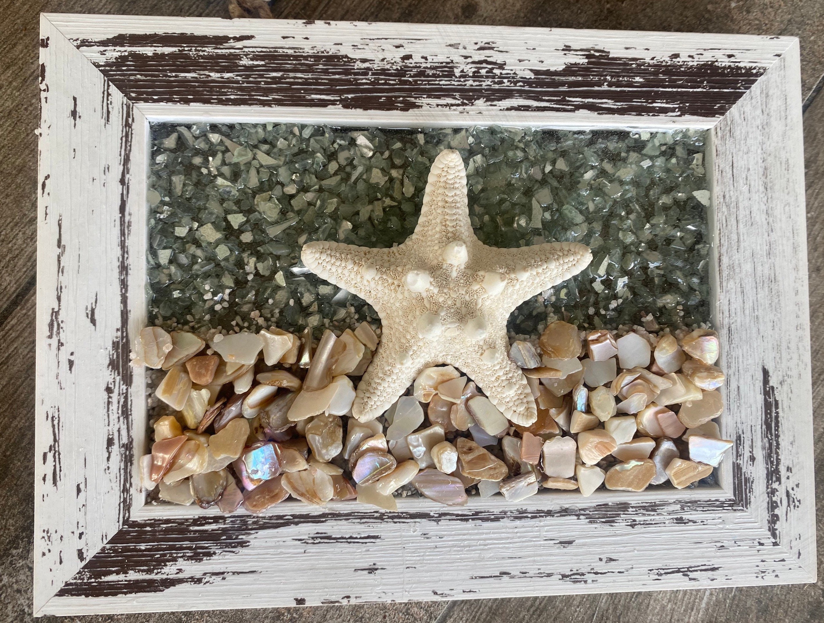 STARFISH and Seashells FRAMED ART Trio - Etsy
