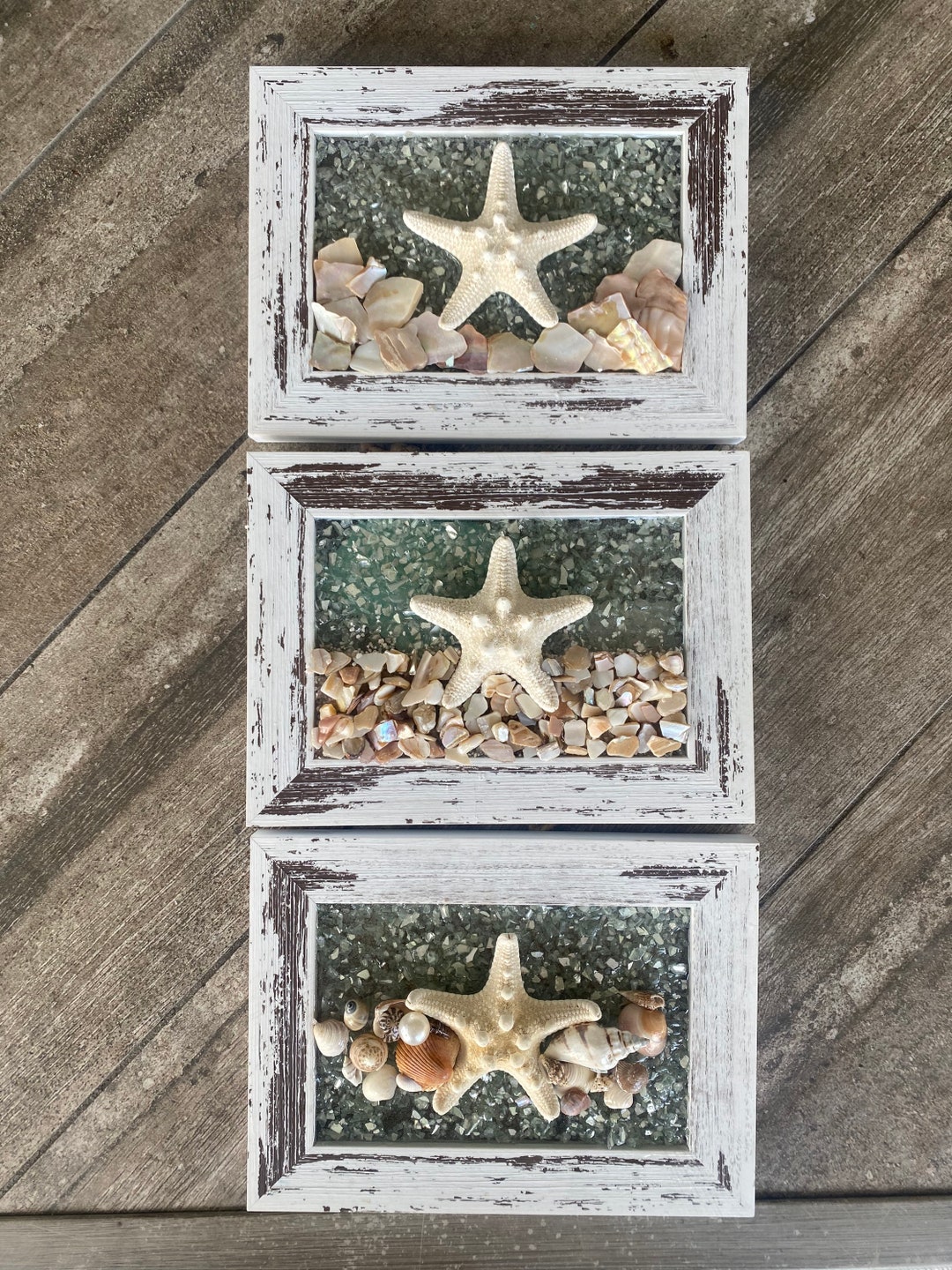 STARFISH and Seashells FRAMED ART Trio - Etsy