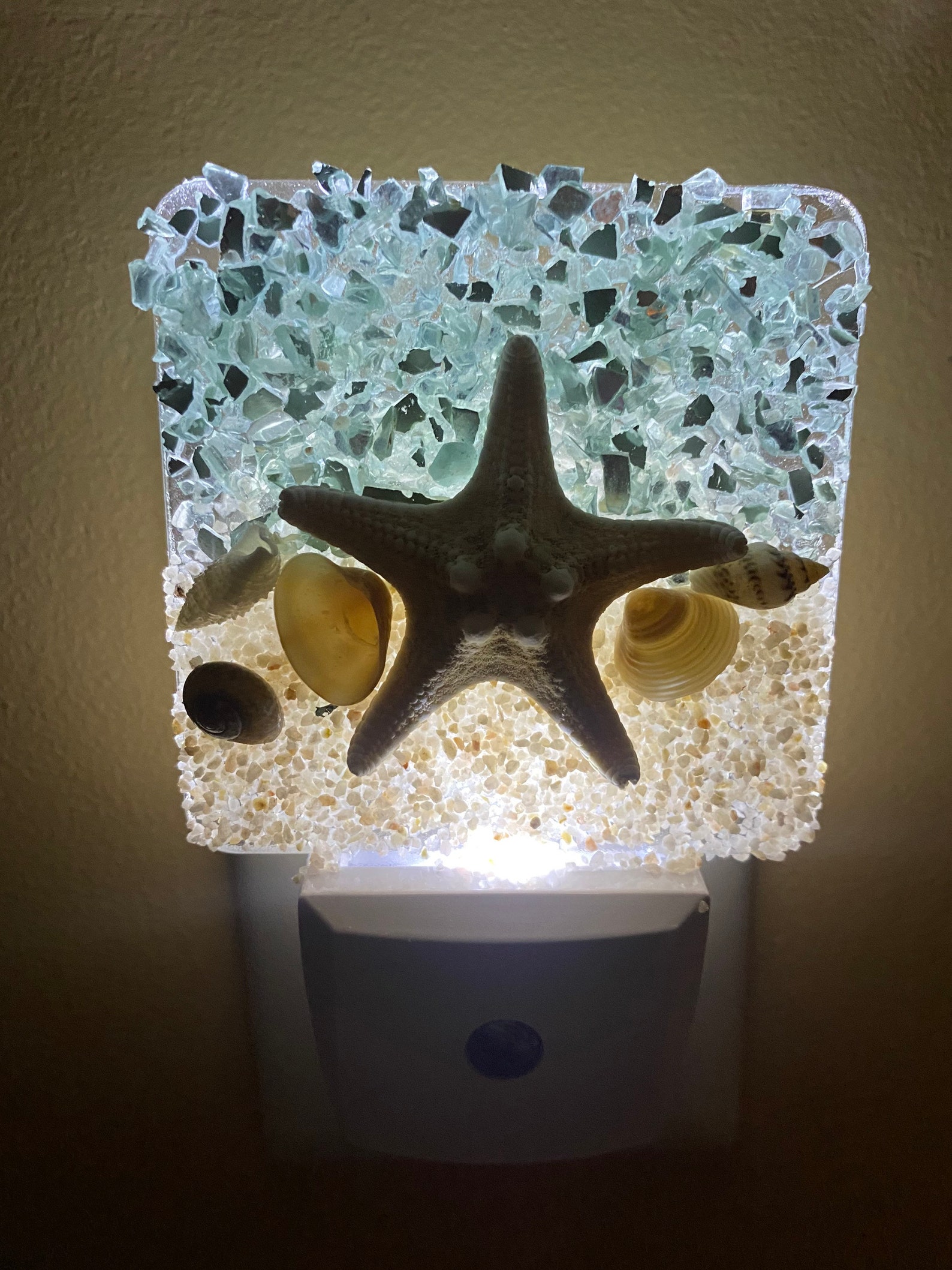 COASTAL Night Light STARFISH With Seashells - Etsy