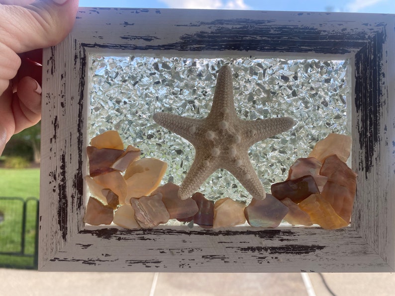 STARFISH and Seashells FRAMED ART Trio - Etsy