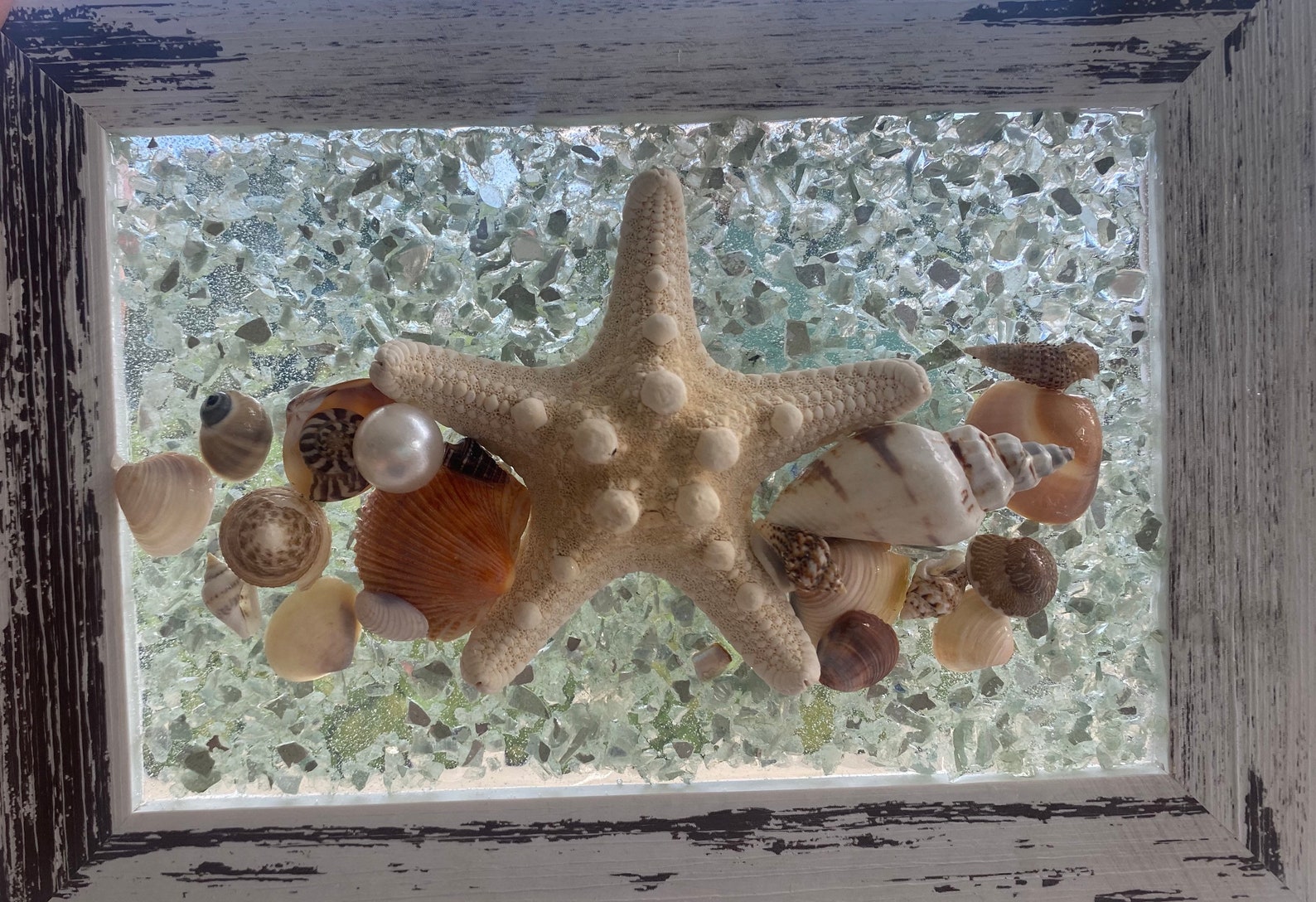 STARFISH and Seashells FRAMED ART Trio - Etsy