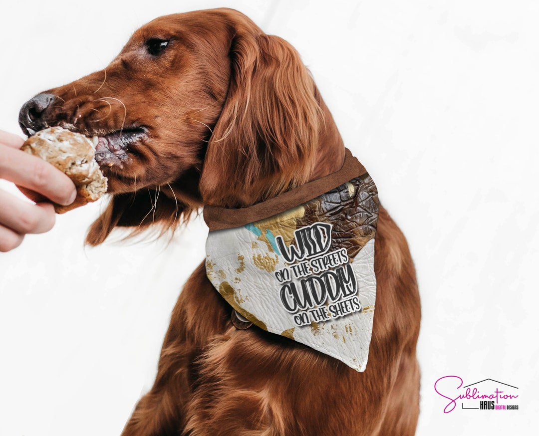 Pet Bandana Dog Bandana Sublimation Pet Scarf PNG Funny Dog Bandana ...