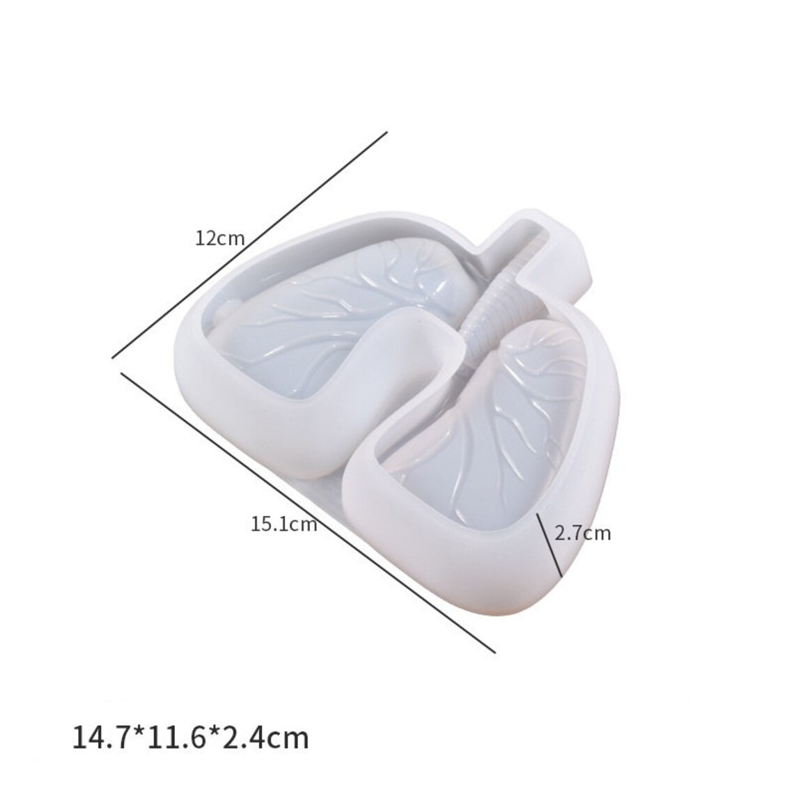 Human Lungs Shape Ashtray Silicone Molds, DIY Handmade Epoxy Resin ...