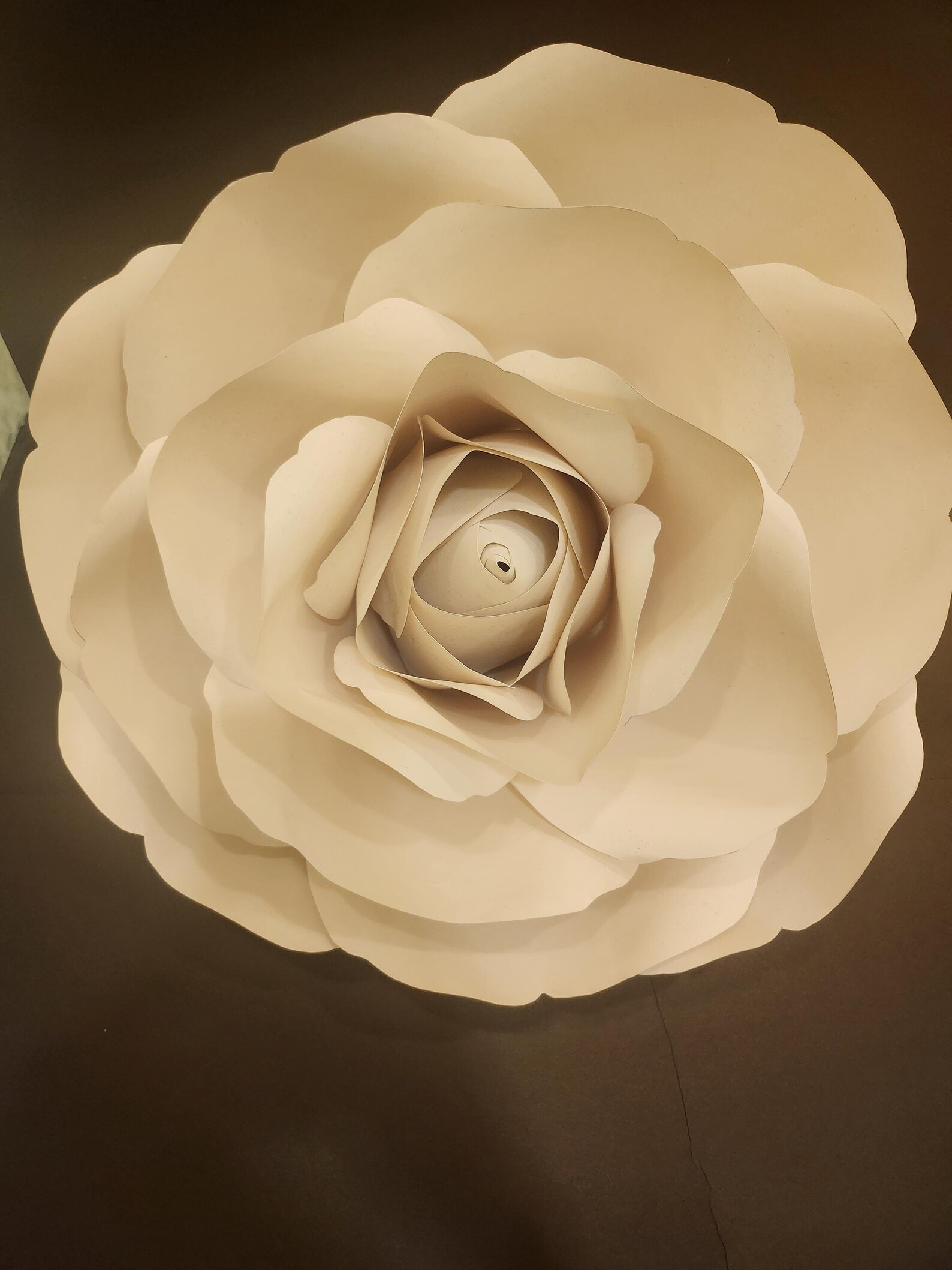 Large Paper Flowers – Oversized Crepe or Cardstock Wall Decor in Custom ...