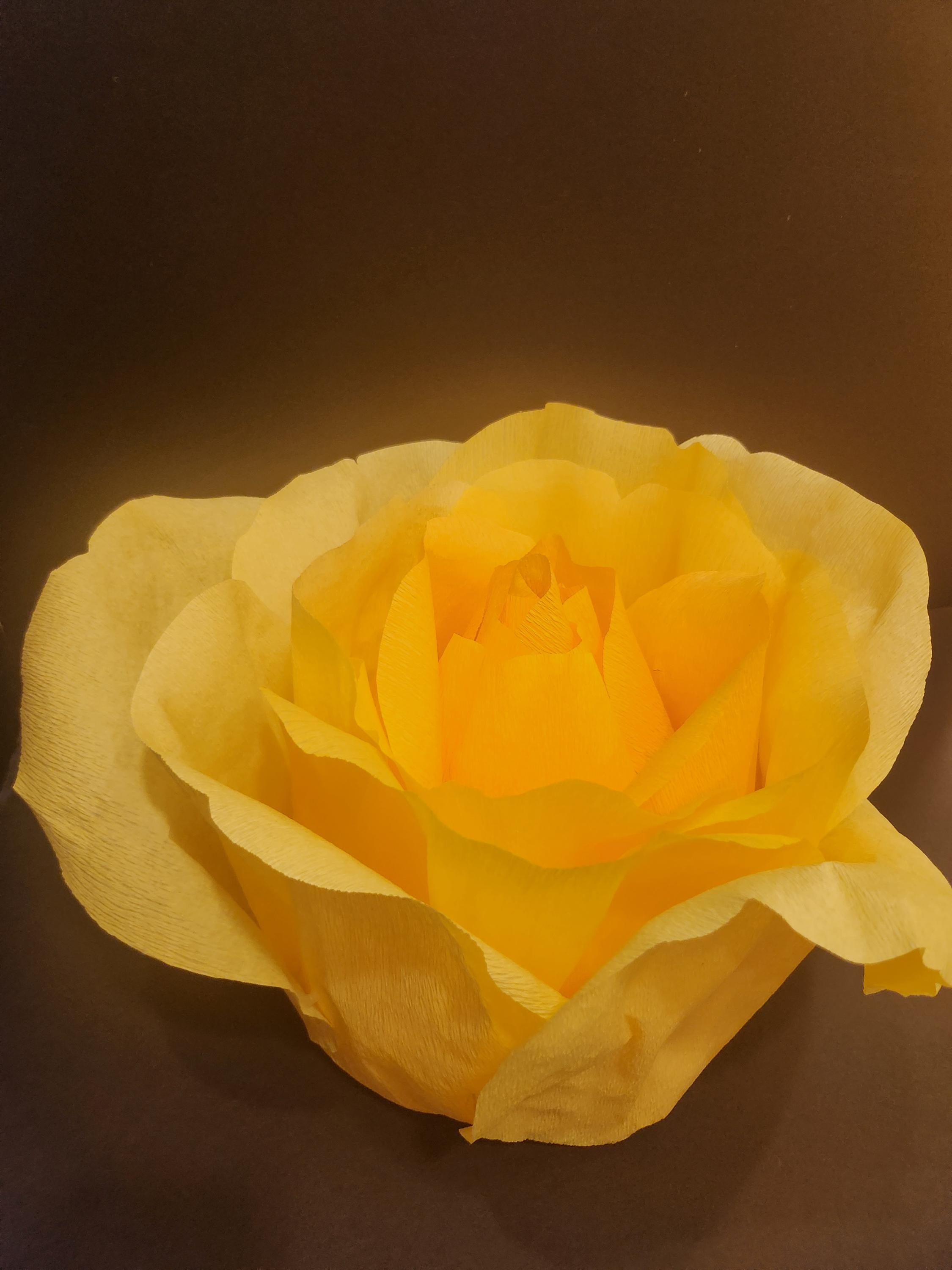 Large Paper Flowers – Oversized Crepe or Cardstock Wall Decor in Custom ...