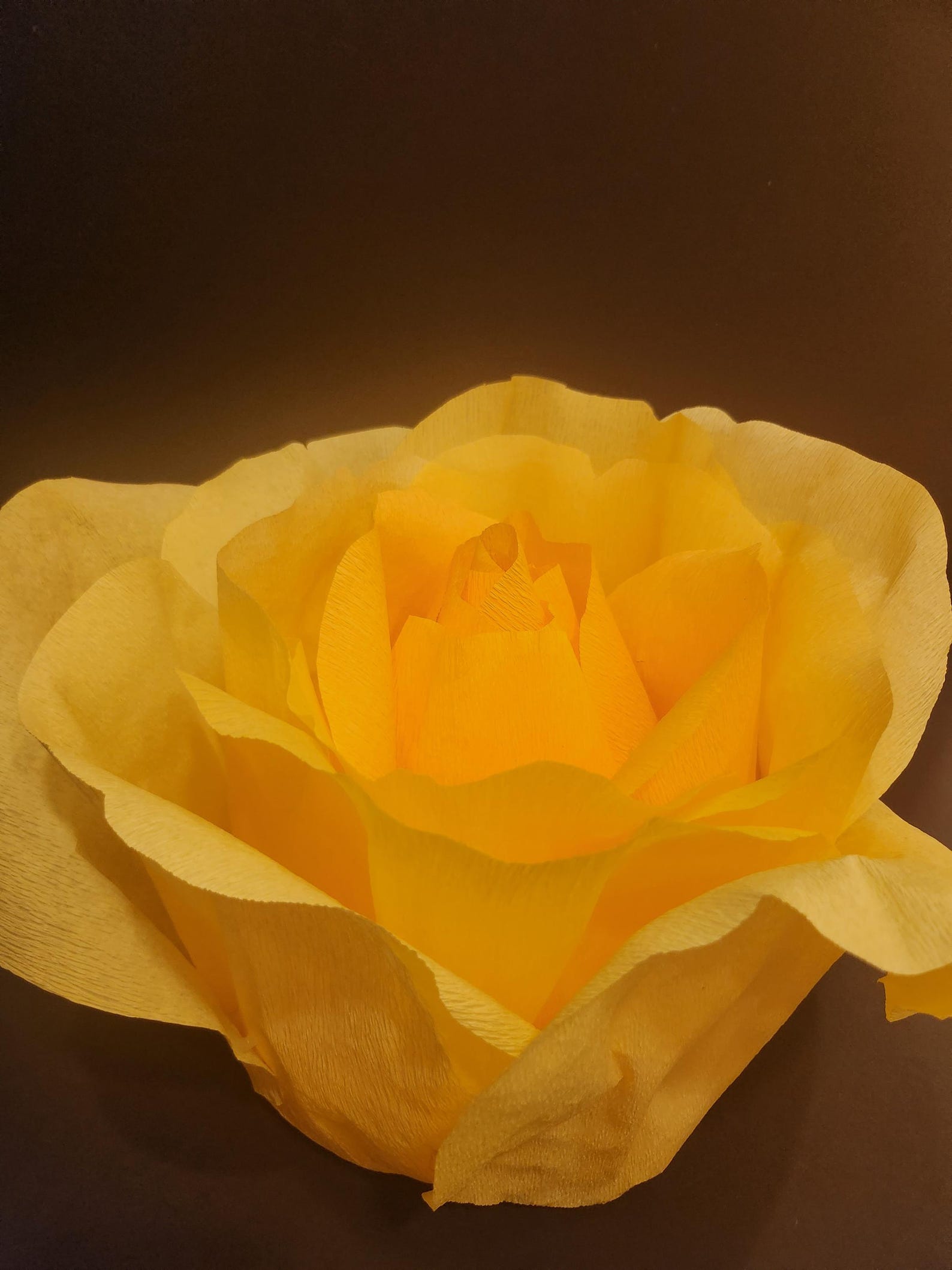 Large Paper Flowers – Oversized Crepe or Cardstock Wall Decor in Custom ...