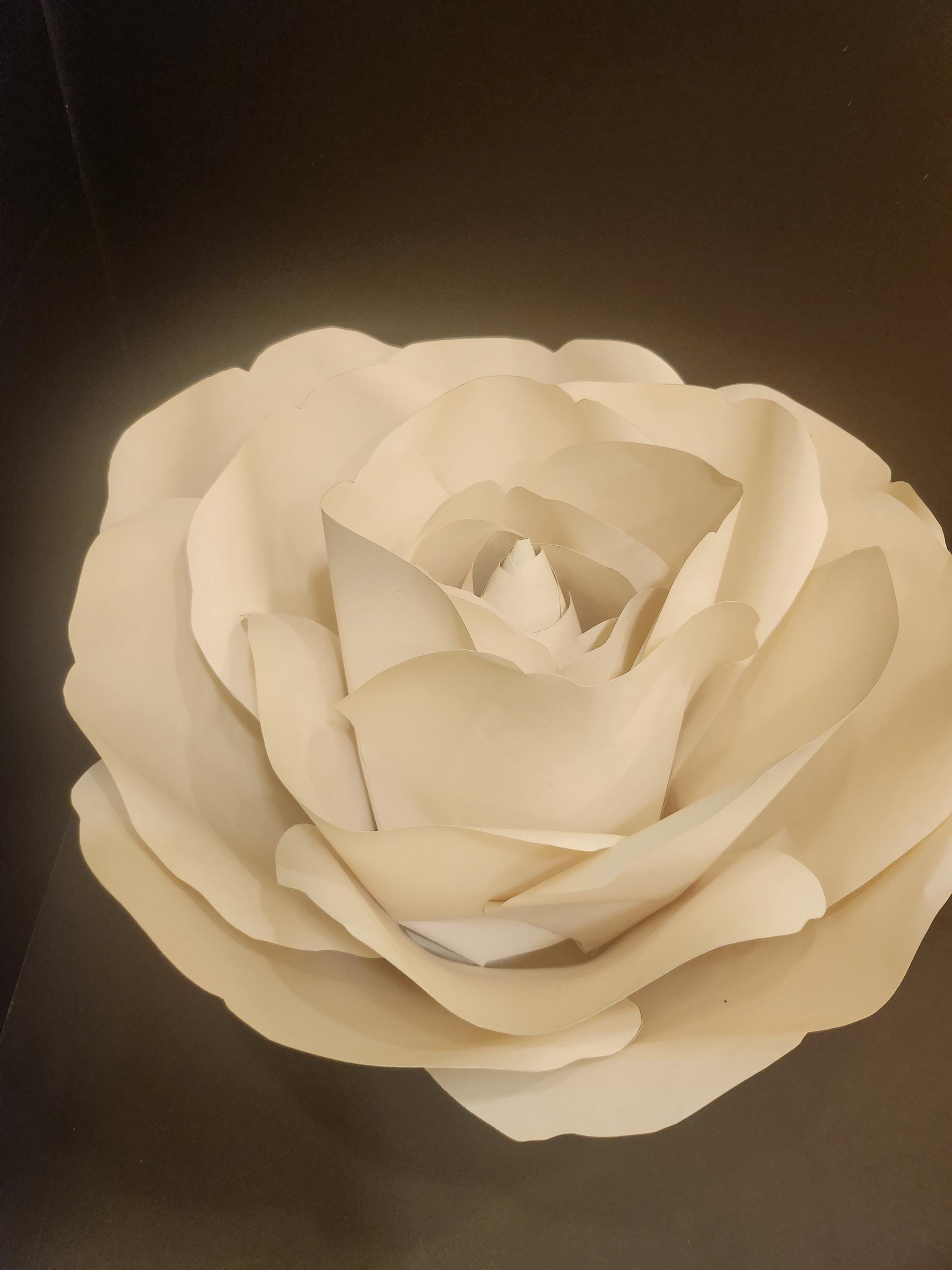 Large Paper Flowers – Oversized Crepe or Cardstock Wall Decor in Custom ...