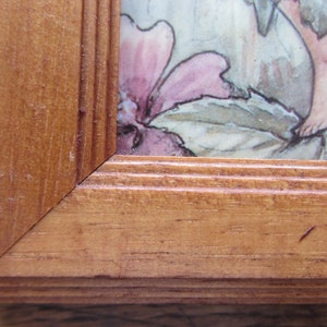 Cicely Mary Barker Flower Fairies, Alphabet Fairies, Mallow Fairy ...