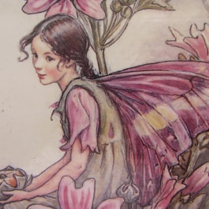 Cicely Mary Barker Flower Fairies, Alphabet Fairies, Mallow Fairy ...