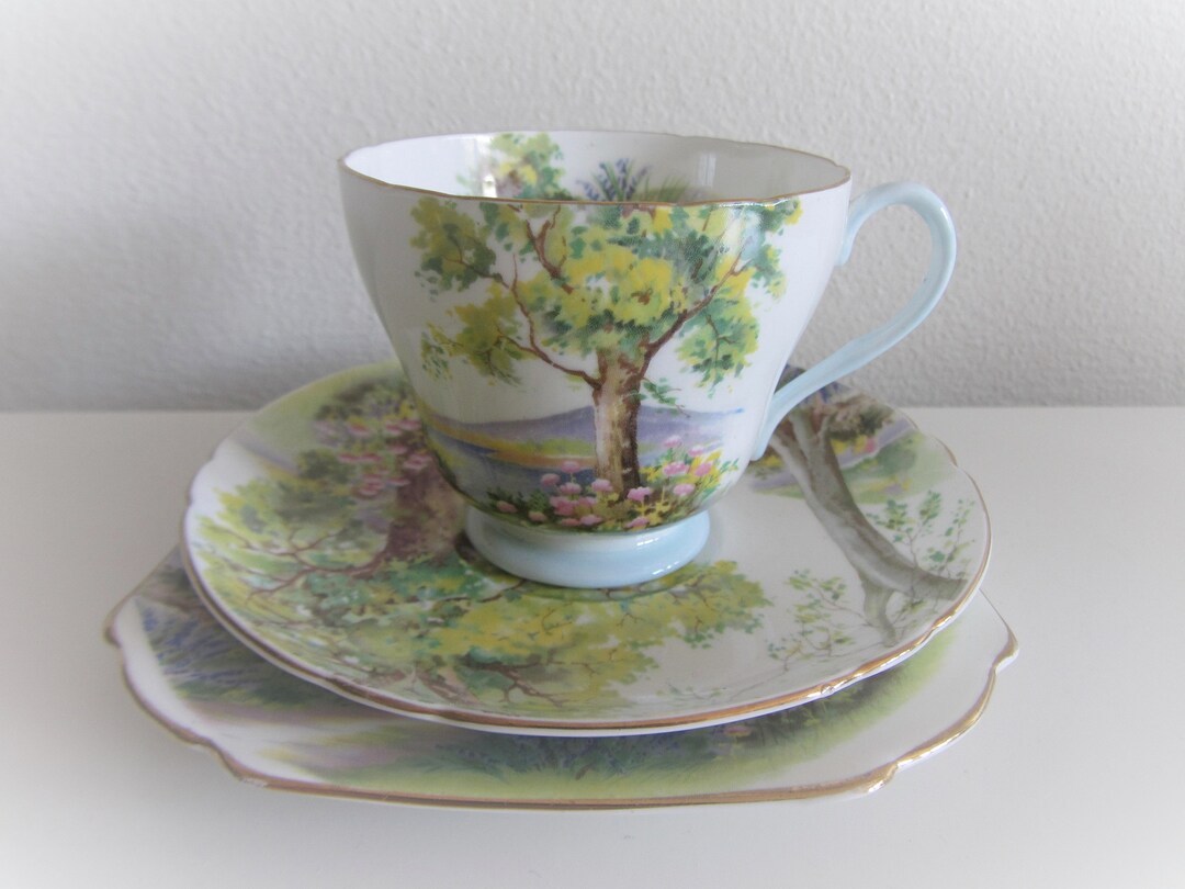 Shelley Woodland Tea Cup Trio, English Bone China Cup, Saucer and ...