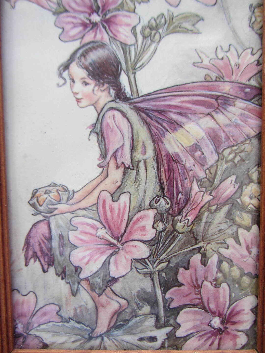 Cicely Mary Barker Flower Fairies, Alphabet Fairies, Mallow Fairy ...