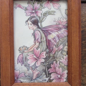 Cicely Mary Barker Flower Fairies, Alphabet Fairies, Mallow Fairy ...