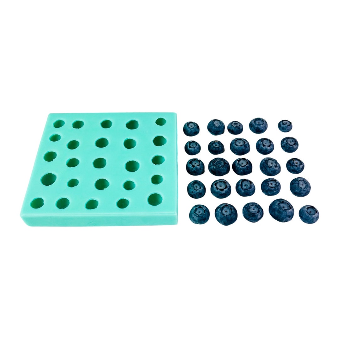 25 Cavity Realistic Blueberry Silicone Mold, Mixed Sized Berries - Etsy