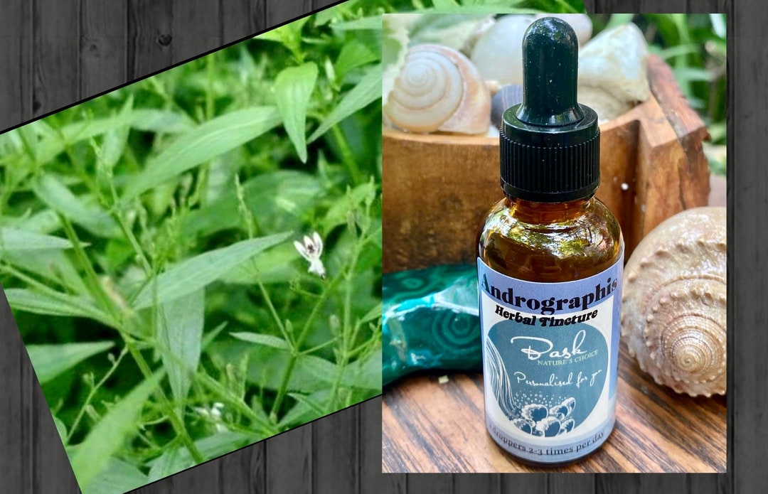Andrographis Herbal Tincture - Etsy