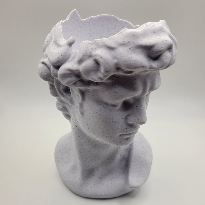 Bust Planter - Etsy