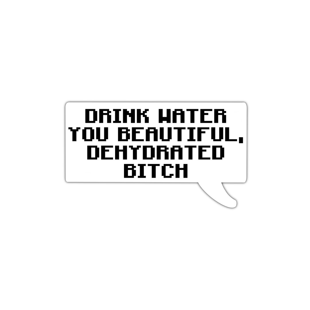 Drink Some Water Sticker, Drink Water You Beautiful Dehydrated Bitch ...