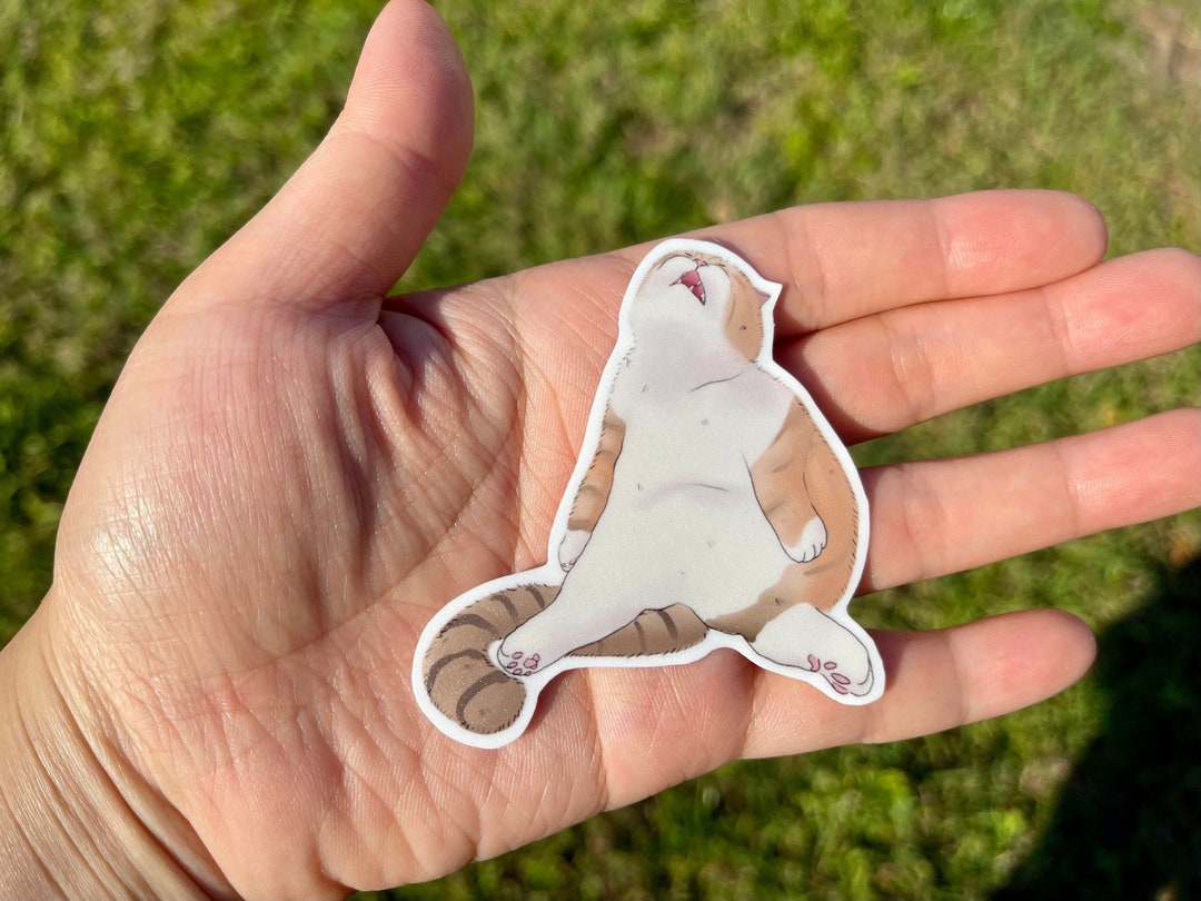 Screaming Cat Meme, Passed Out Cute Cat Bumper Sticker, Funny Cat ...