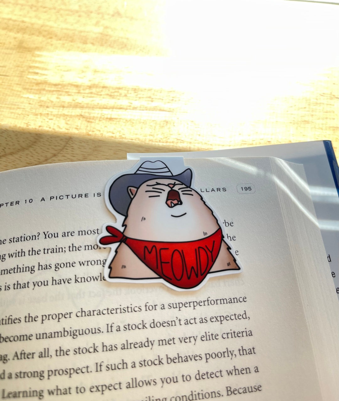 Magnetic Meowdy Cat Howdy, Cat Meme Bookmarks, Handmade Book ...