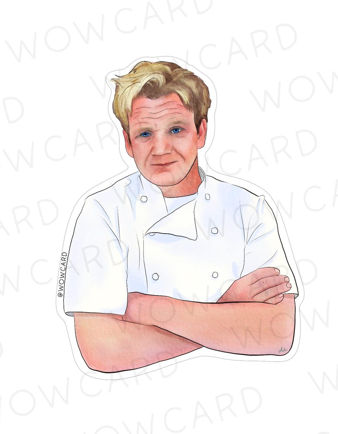 Gordon Ramsay Vinyl Sticker Kitchen Nightmares Hotel Hell Hells Kitchen ...