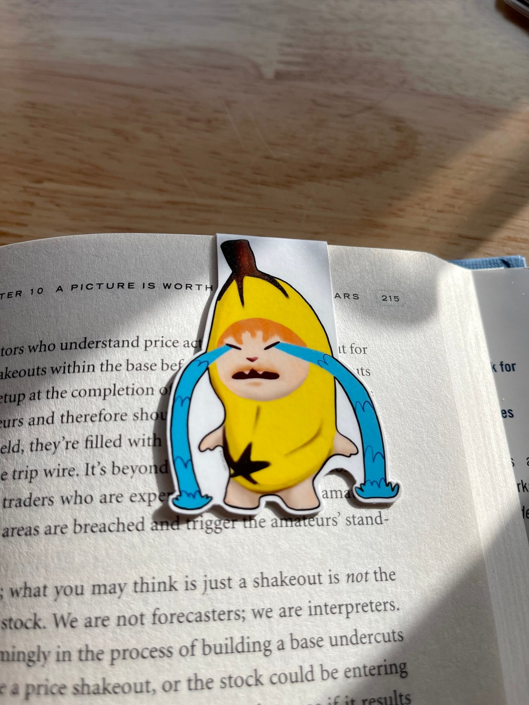 Magnetic Bookmarks Cute Crying Banana Cat Meme Handmade Book ...
