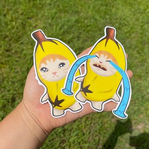 Banana Crying Cat Funny Meme Sticker | Happy Cat Sticker | Car Truck ...