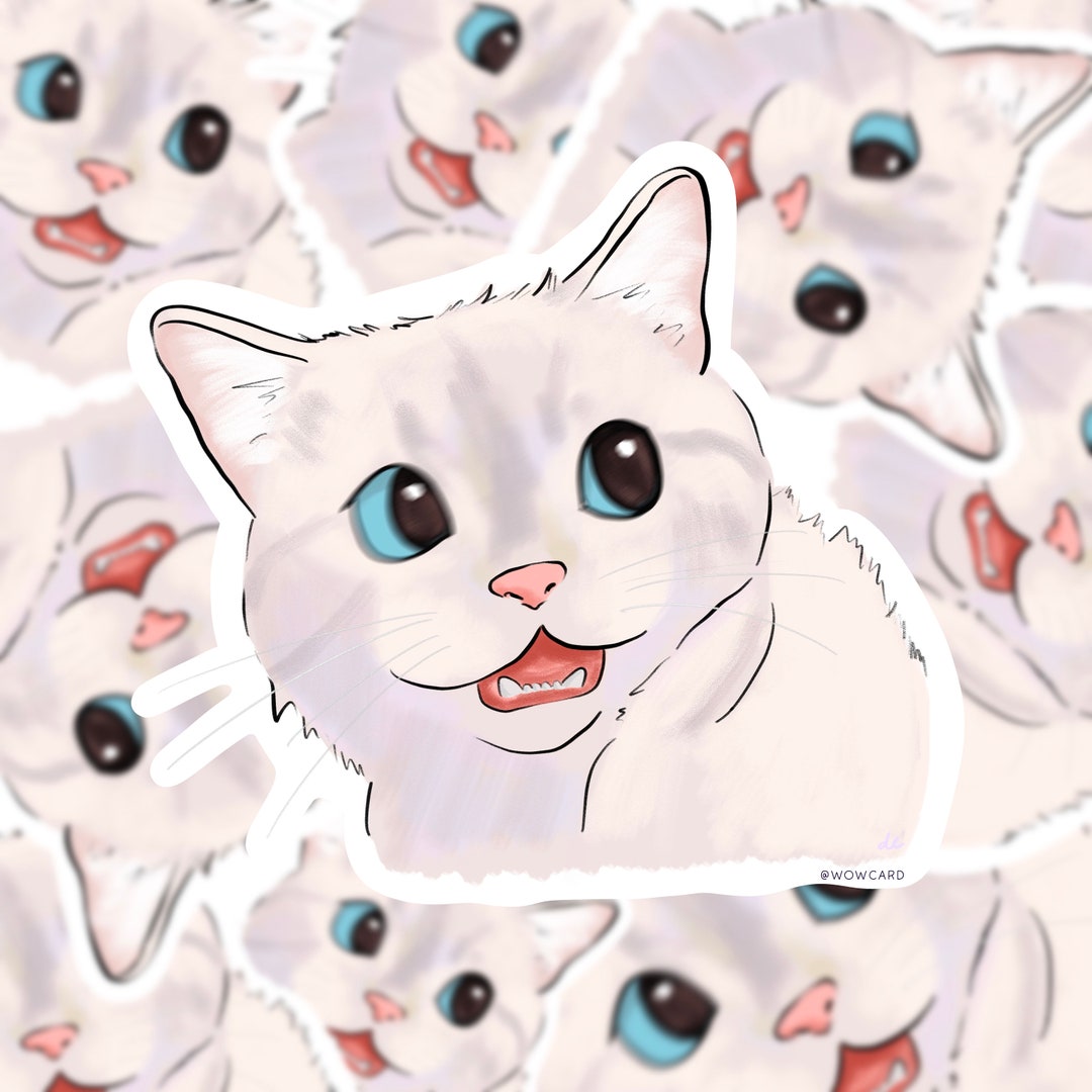 Surprised Cat Meme Sticker, Dramatic Cat Sticker, Car Truck Bumper ...