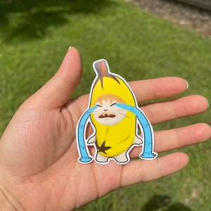 Banana Crying Cat Funny Meme Sticker | Happy Cat Sticker | Car Truck ...