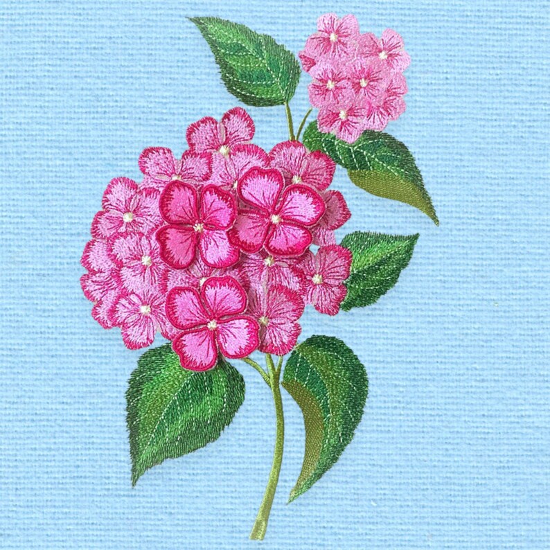 Hydrangea 3D Flowers Set Machine Embroidery Designs Digital - Etsy