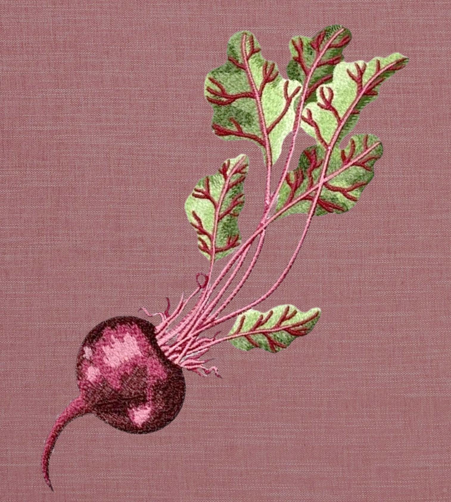 Machine Embroidery Design – Beetroot, in Artistic Satin Stitch ...