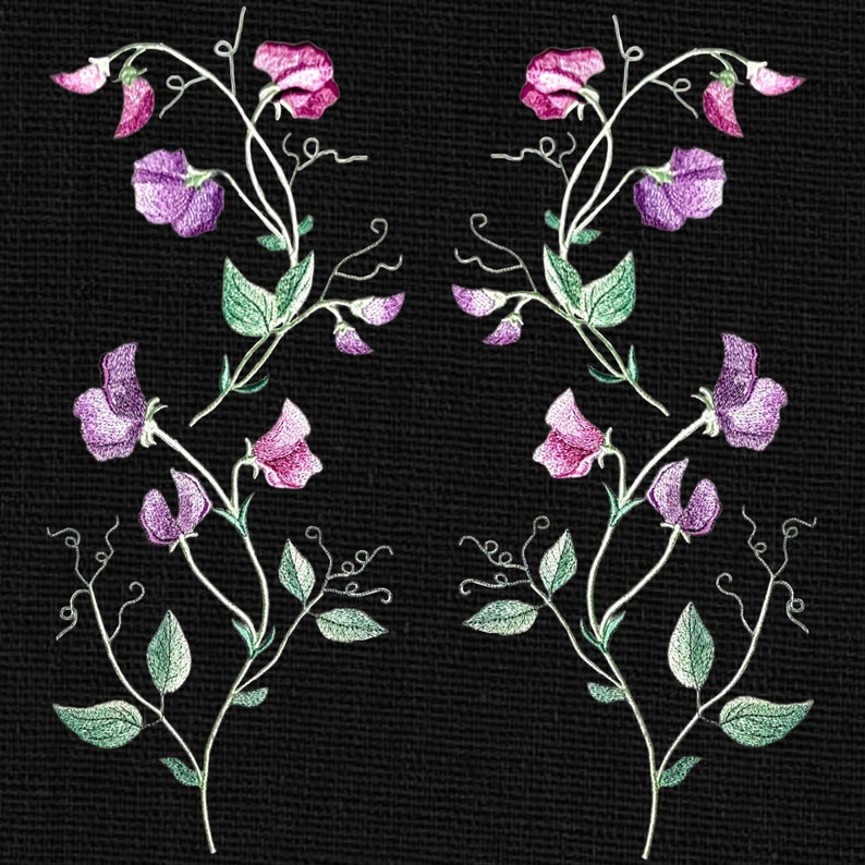 Sweet Pea Artistic Machine Embroidery Design Digital Embroidery Pattern ...