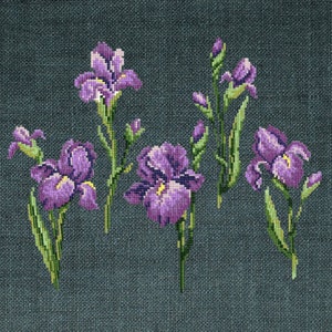 Irises Cross-stitch Set Patterns Machine Embroidery Designs Digital ...