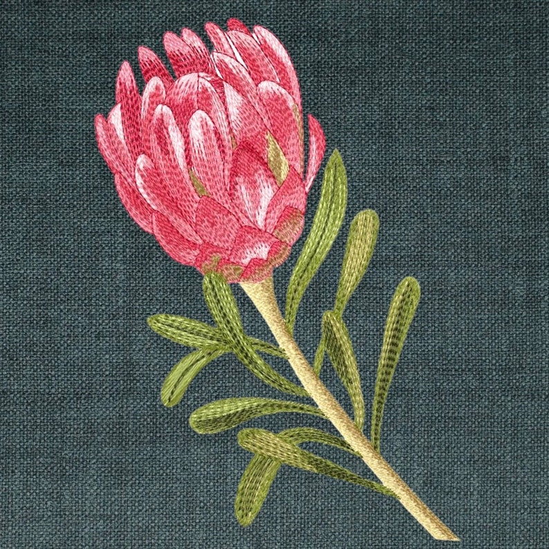 Protea Set Artistic Machine Embroidery Design Digital - Etsy