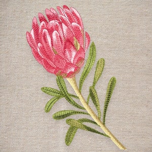 Protea Set Artistic Machine Embroidery Design Digital Embroidery ...